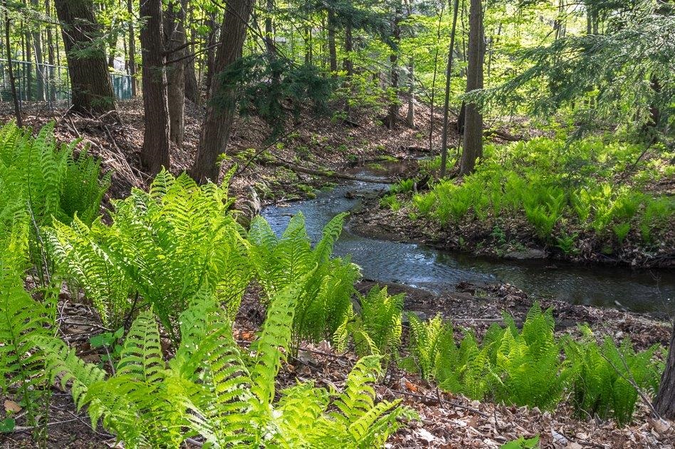 Le ruisseau du Moulin - Découverte patrimoine et culture