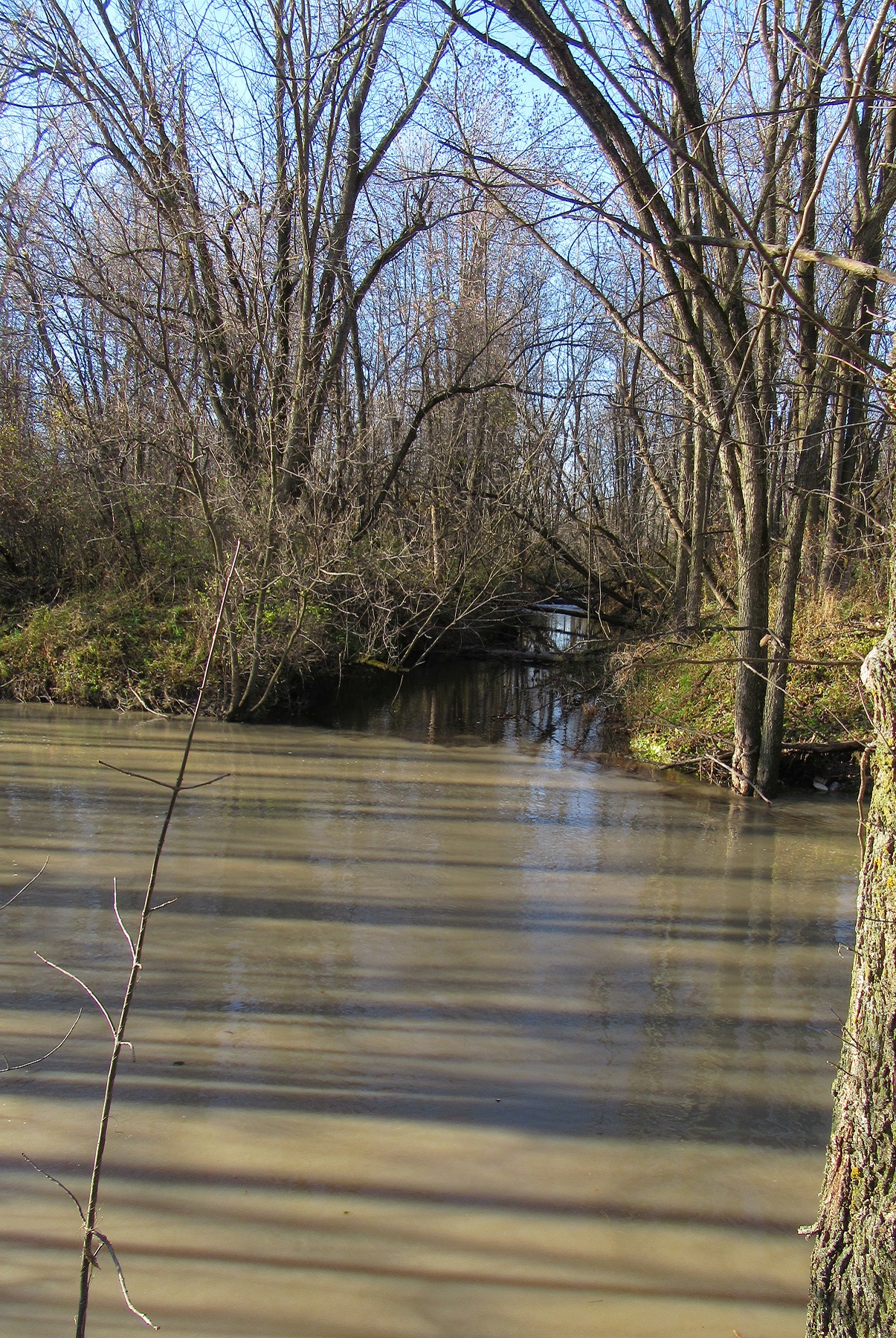 Le ruisseau Massé - Découverte patrimoine et culture